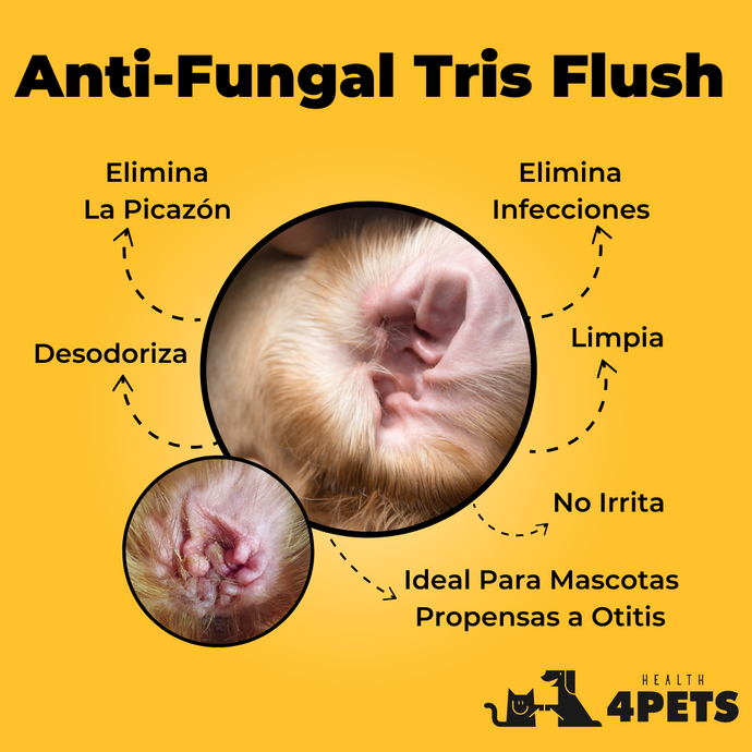 Health 4 Pets Ear Tris Flush 8 oz para Infecciones de Oído – Health 4 ...